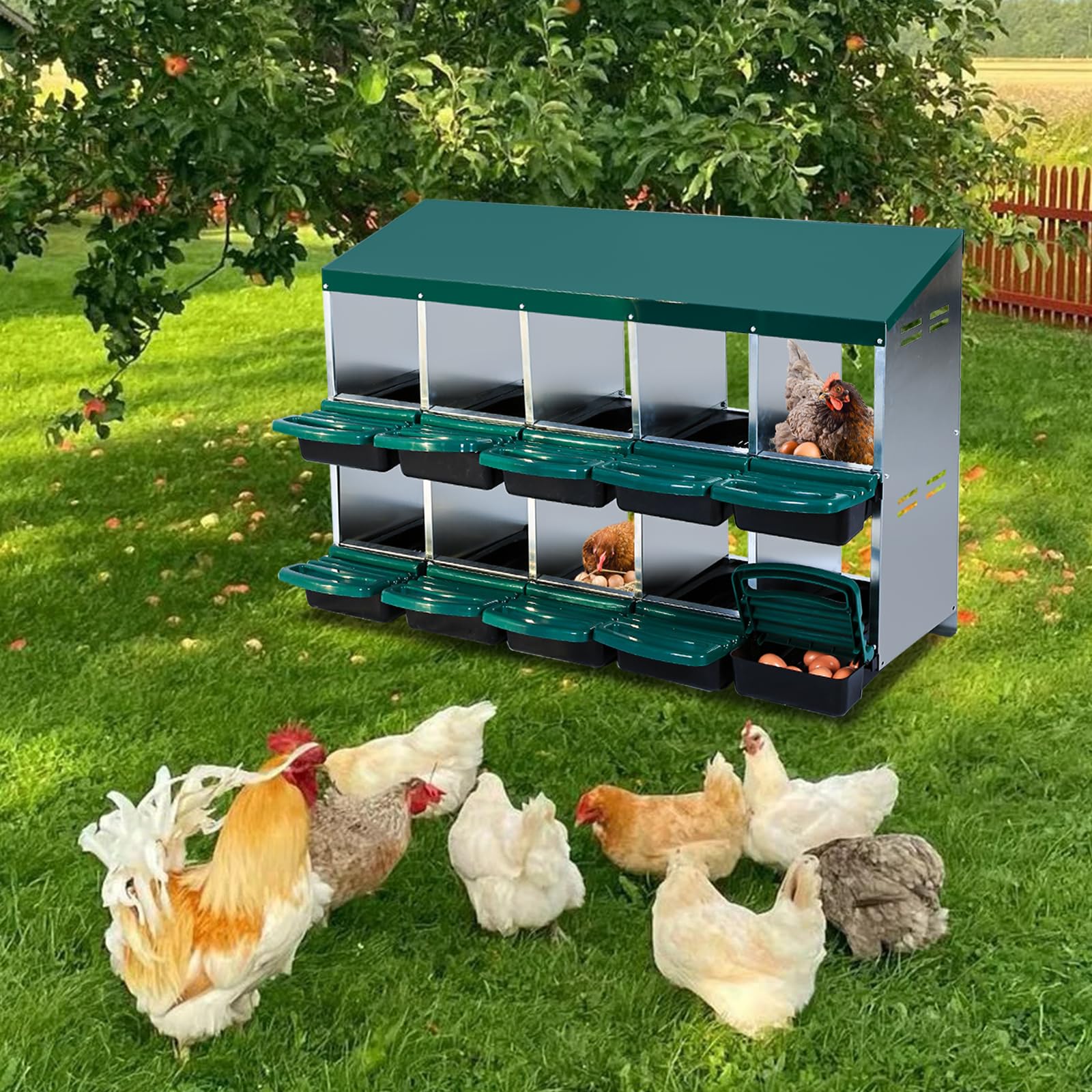 Garvee Nesting Boxes 10 Compartment Egg Collection Galvanized Steel for ...